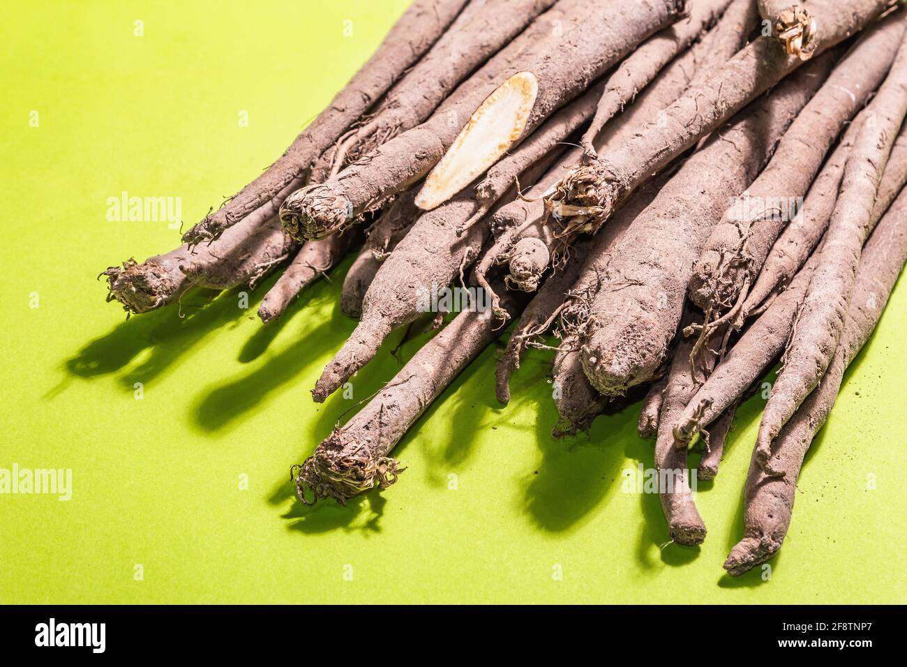 Crop of fresh unpeeled Scorzonera or Spanish salsify. Modern vegetables ...