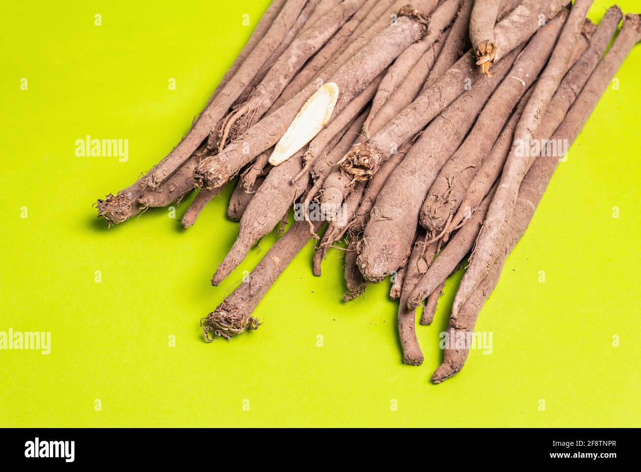 Crop of fresh unpeeled Scorzonera or Spanish salsify. Modern vegetables ...