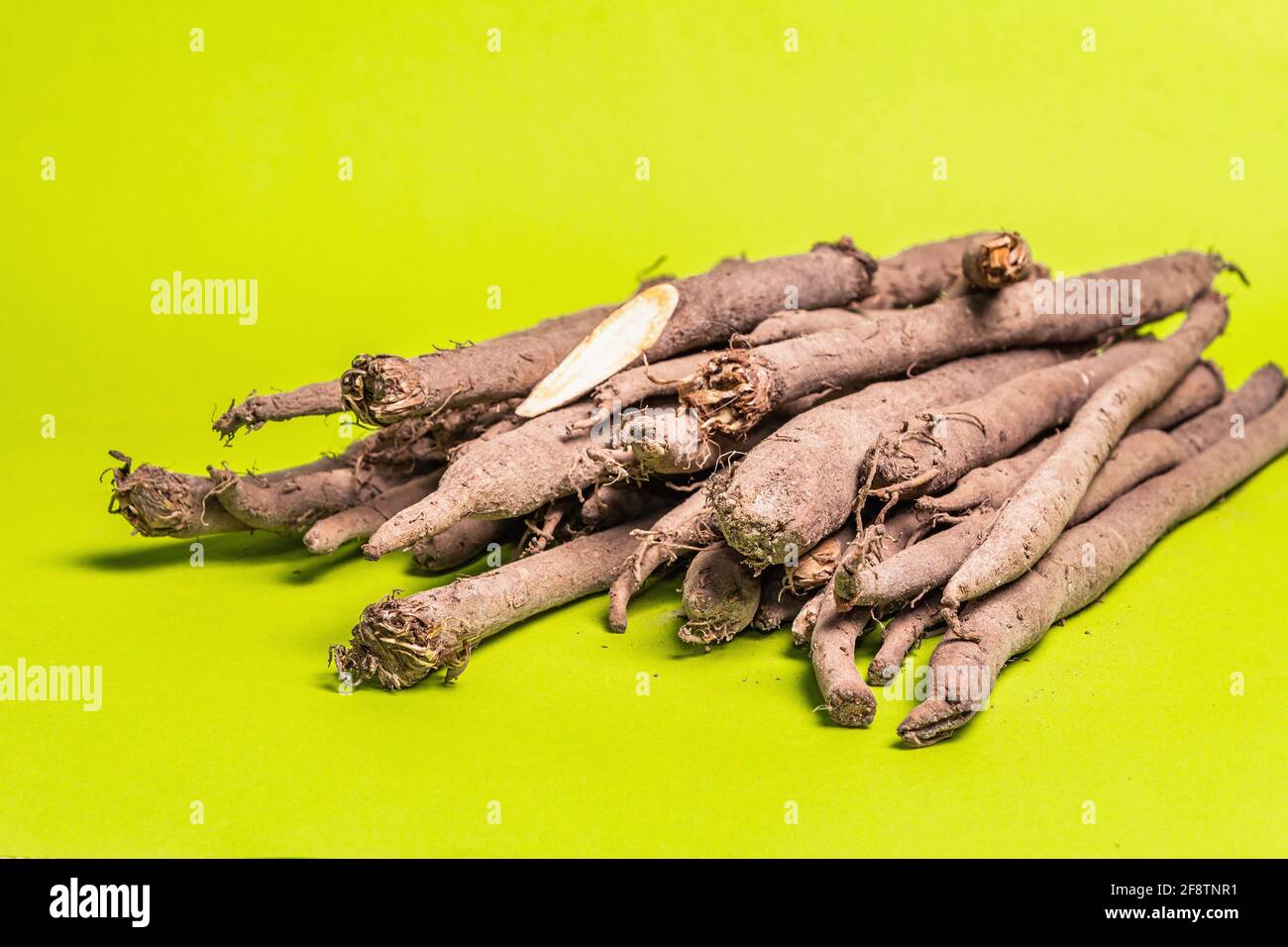 Crop of fresh unpeeled Scorzonera or Spanish salsify. Modern vegetables ...