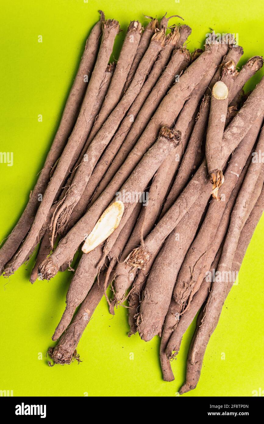Crop of fresh unpeeled Scorzonera or Spanish salsify. Modern vegetables ...
