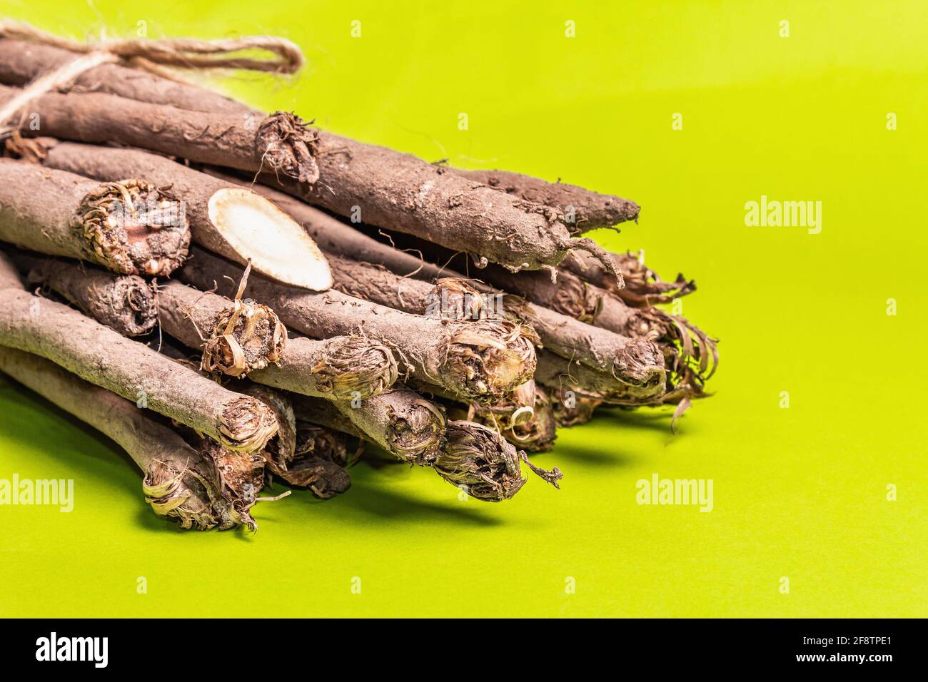 Bunch of fresh unpeeled Scorzonera or Spanish salsify. Modern ...