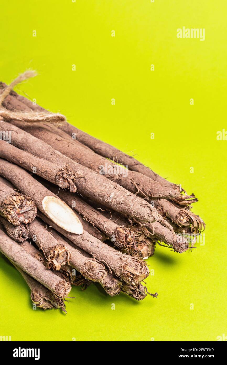 Bunch of fresh unpeeled Scorzonera or Spanish salsify. Modern ...