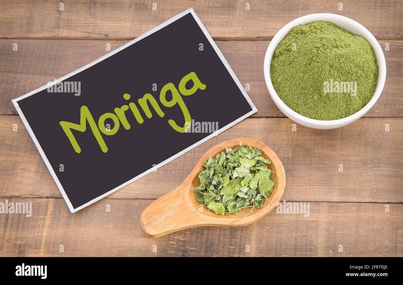 Moringa nutritional plant - Moringa oleifera Stock Photo - Alamy