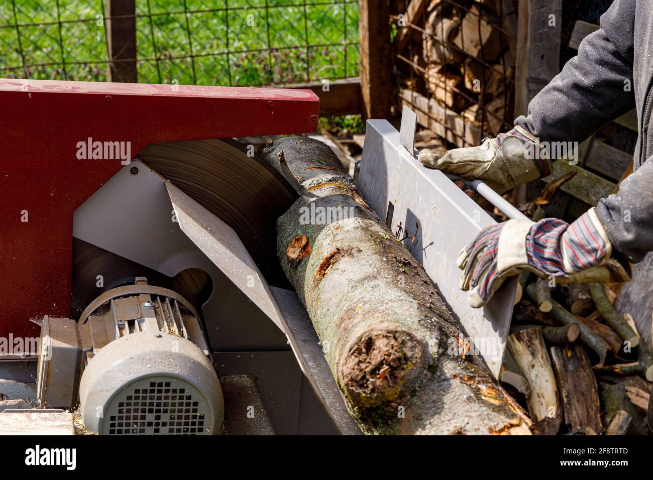 Making of firewood with a saw Stock Photo - Alamy