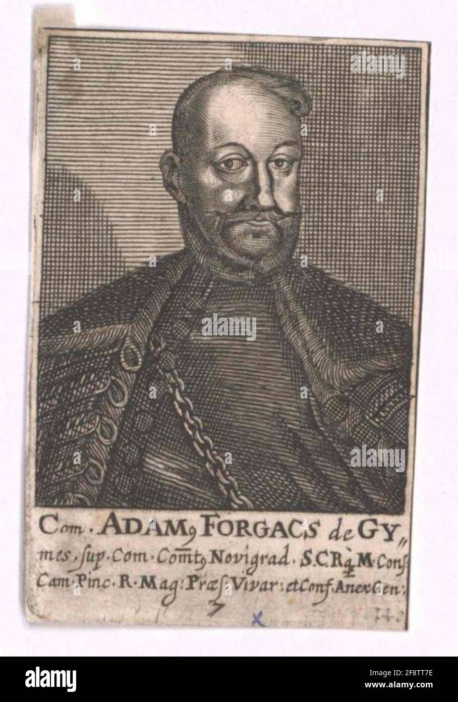 Forgách von Ghymes und Gács, Adam Graf Vergerer: Fürst, Paulstecher ...