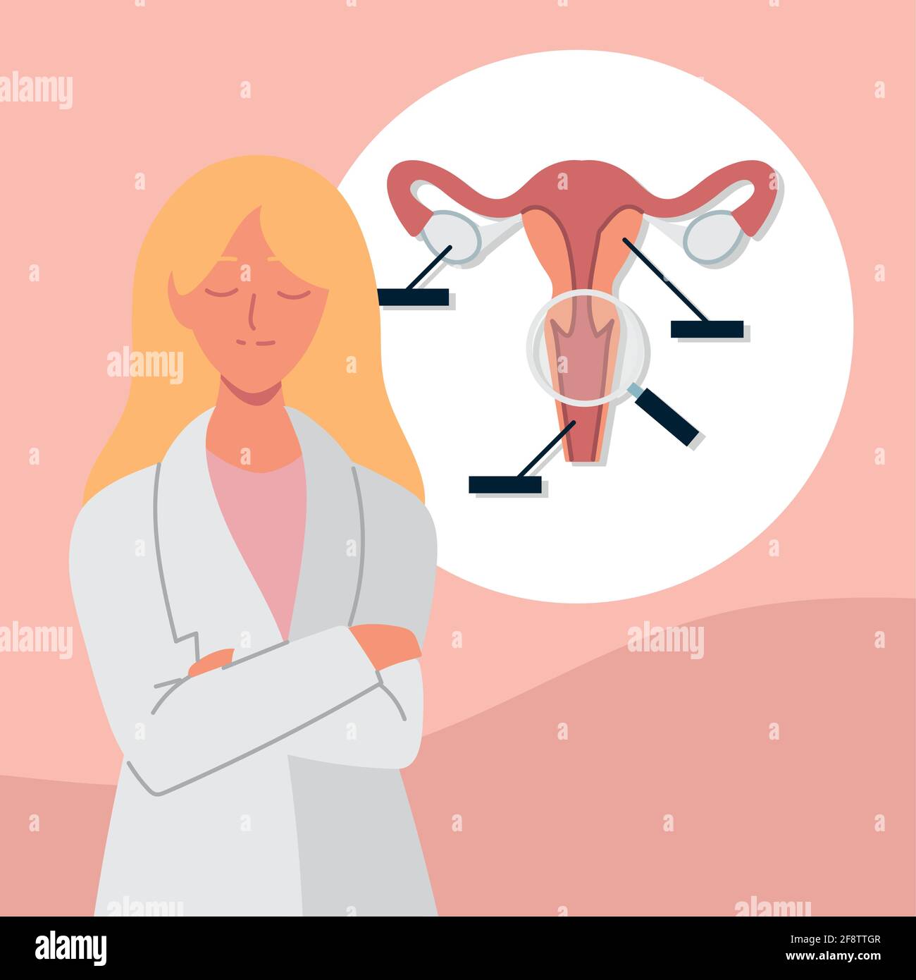 gynecologist anatomical uterine Stock Vector Image & Art - Alamy