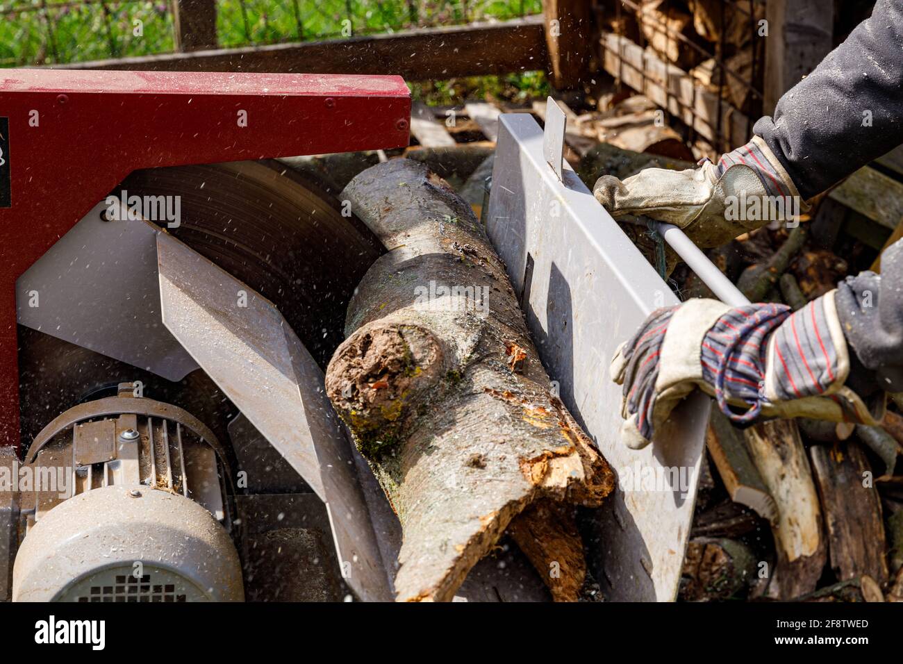Making of firewood with a saw Stock Photo - Alamy