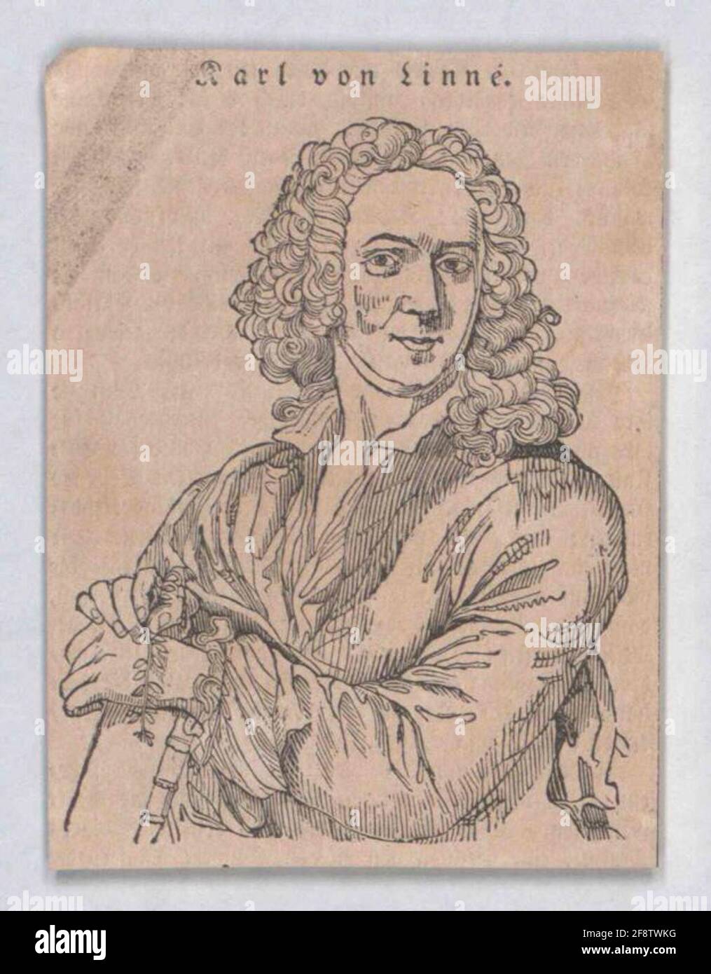 Linné, Charles of Stock Photo - Alamy