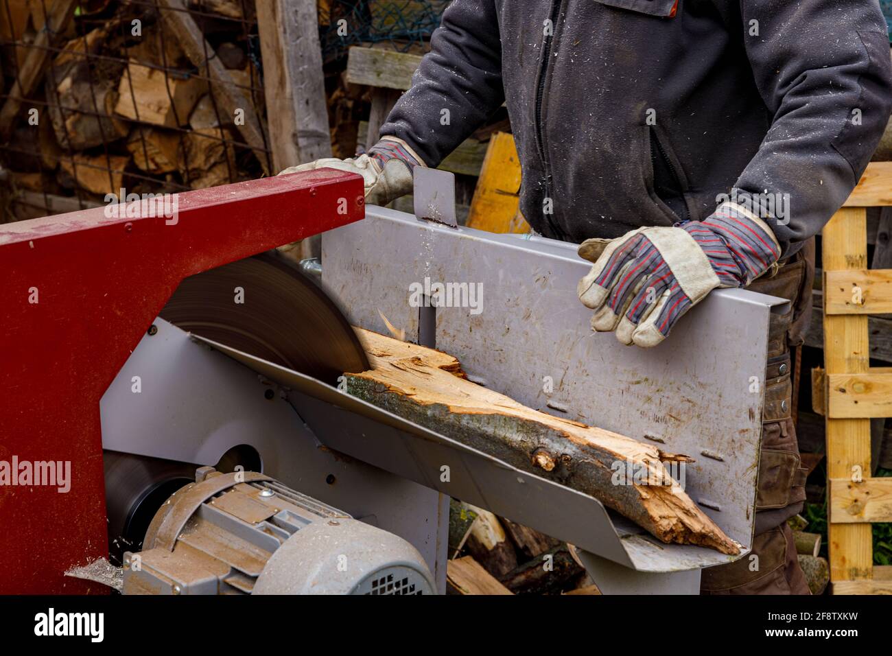 Making of firewood with a saw Stock Photo - Alamy