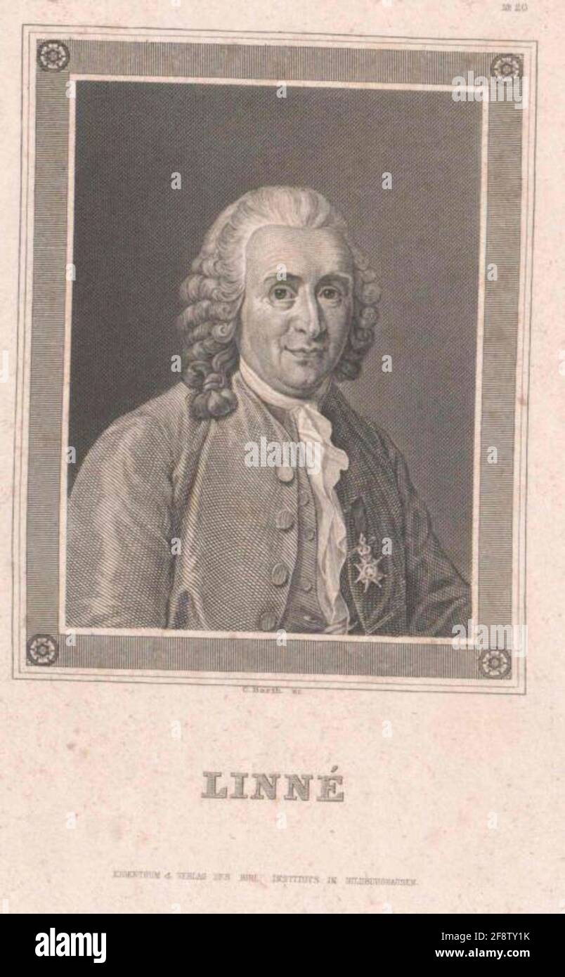 Linné, Charles of Stock Photo - Alamy