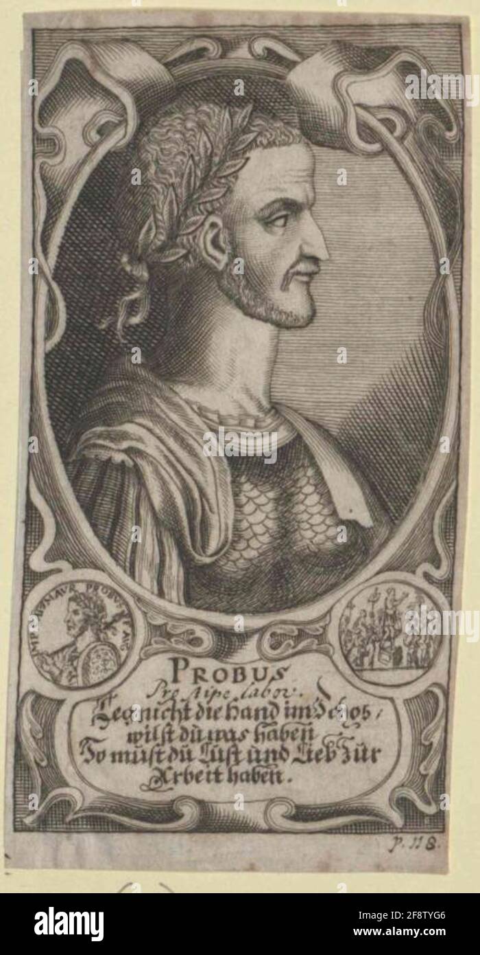 Emperor probus hi-res stock photography and images - Alamy