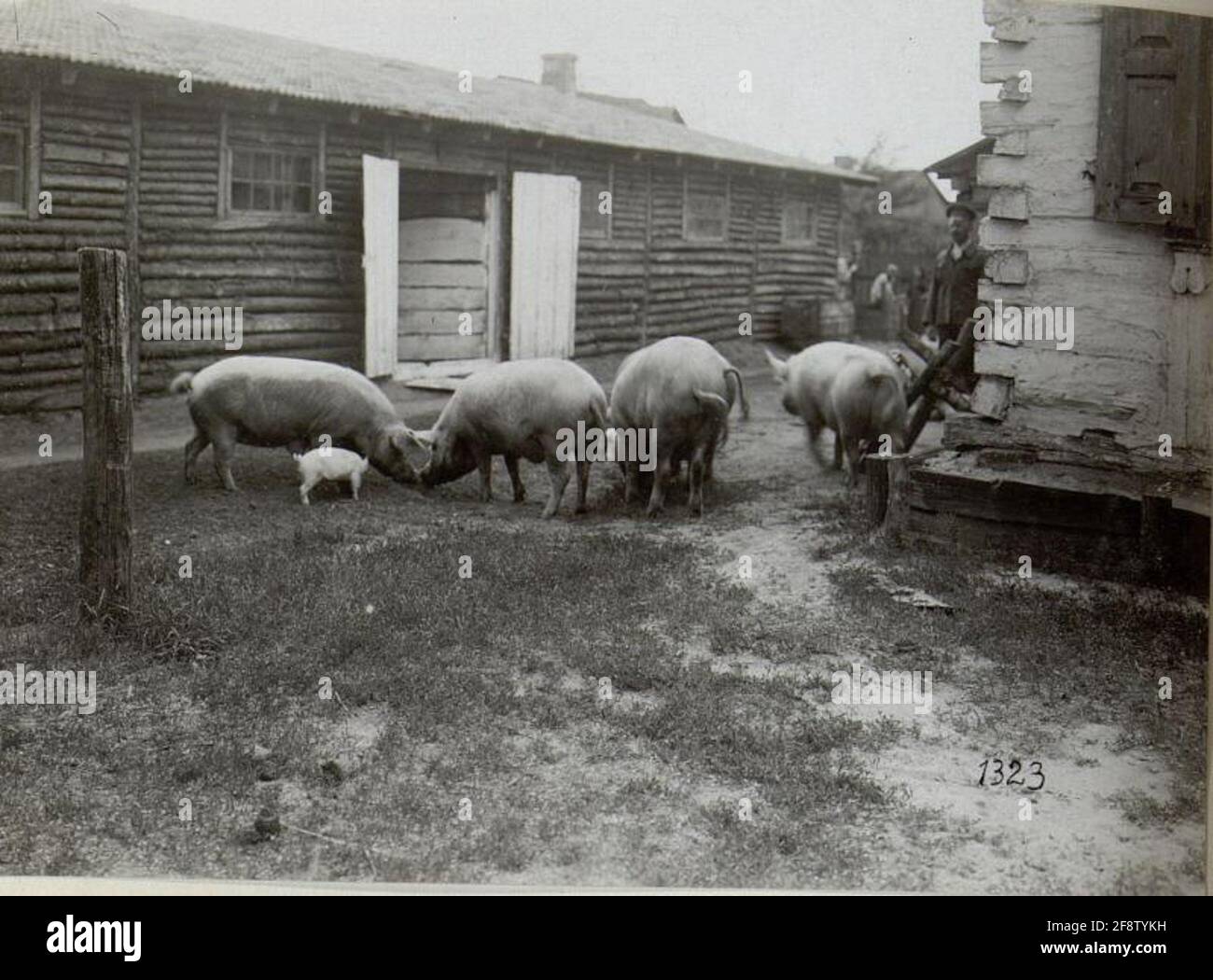 Battle lines wwi hi-res stock photography and images - Alamy