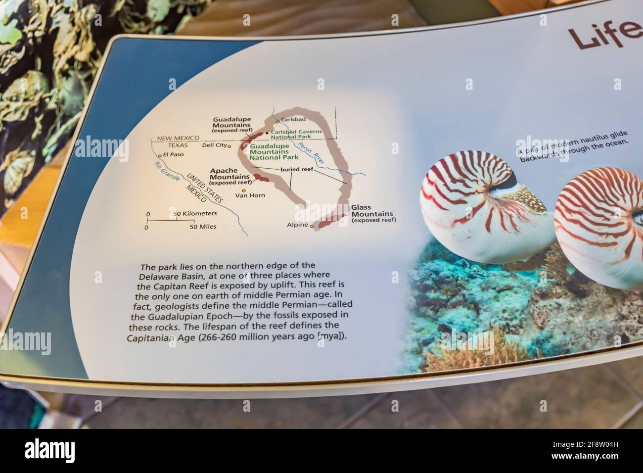 Reef Carlsbad Caverns National Park