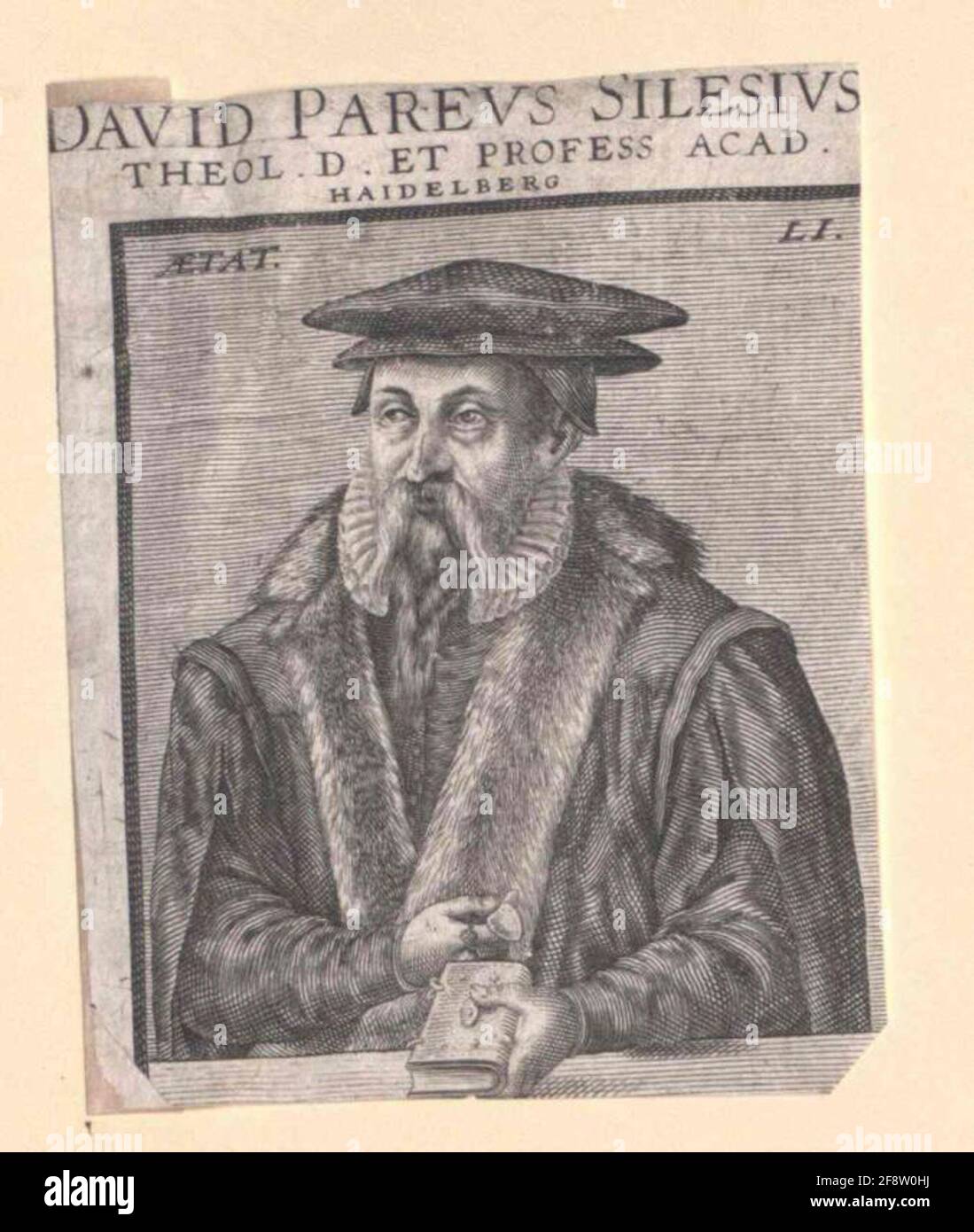 Pareus hi-res stock photography and images - Alamy