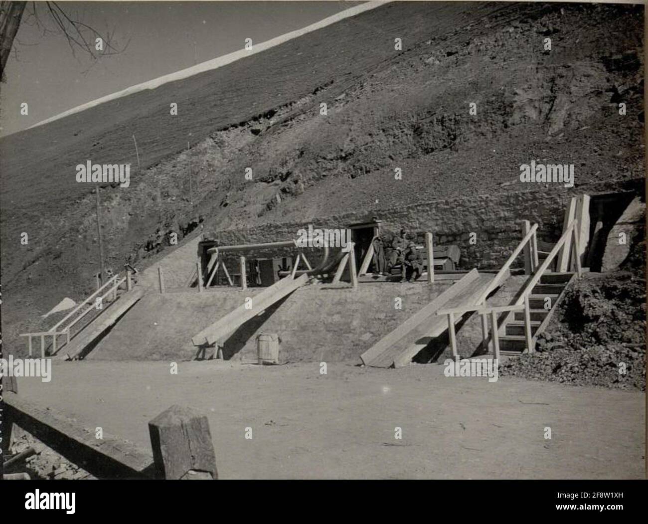 Large fox hi-res stock photography and images - Alamy