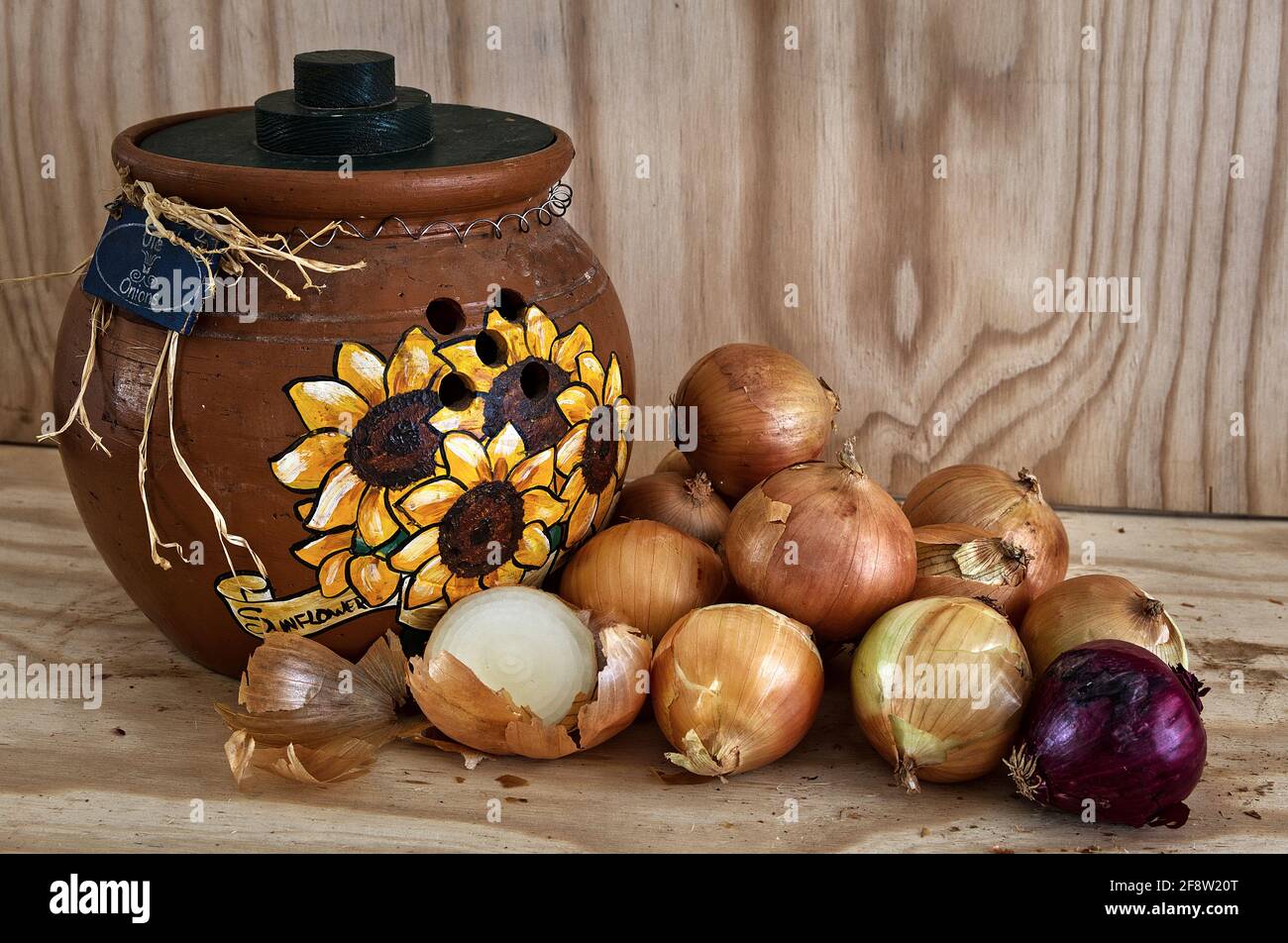 Onion pot with onions still life. One purple onion Stock Photo - Alamy