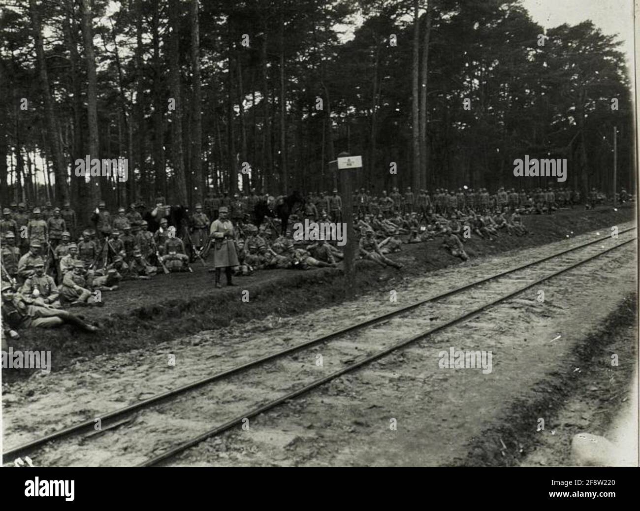31st regiment infantry hi-res stock photography and images - Alamy