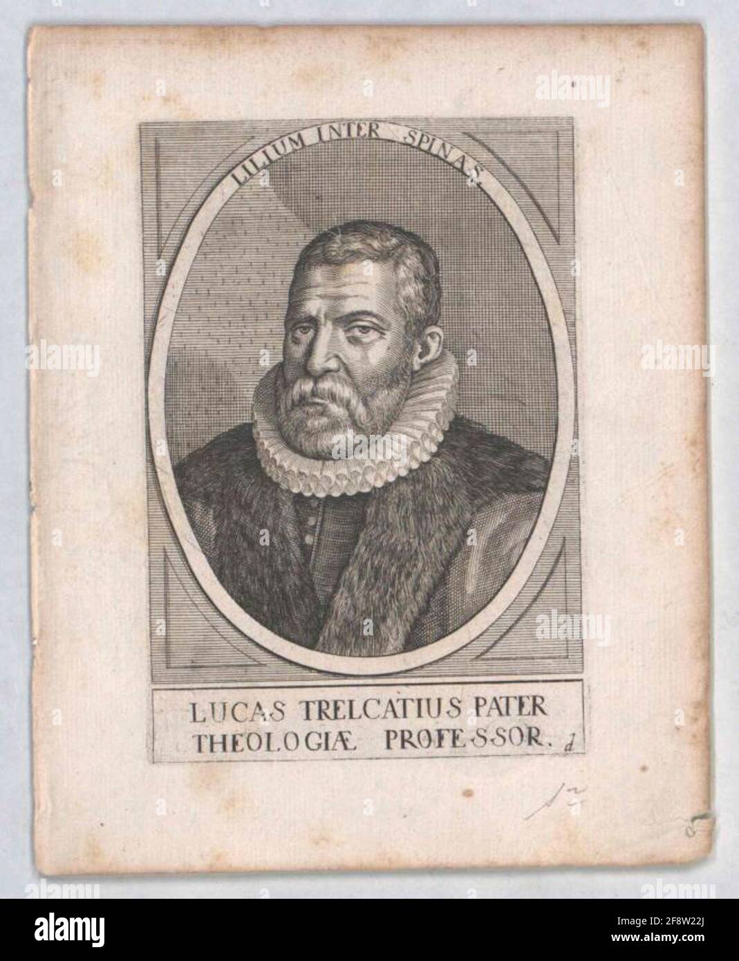 Trelcatius, Lucas Stecher: Furck, Sebastian Stock Photo - Alamy