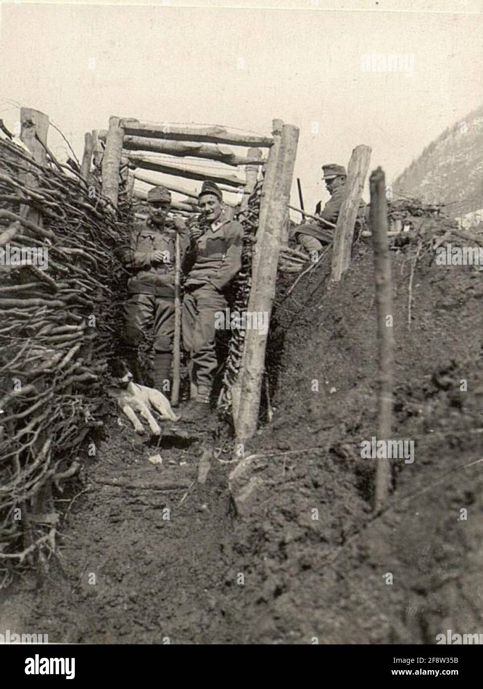 Watchdog history hi-res stock photography and images - Alamy