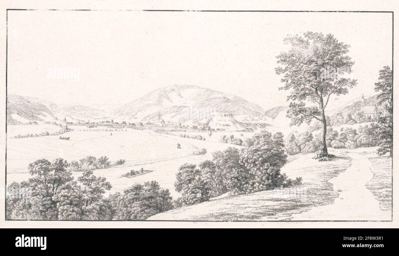 Brock in the mur Stock Photo - Alamy