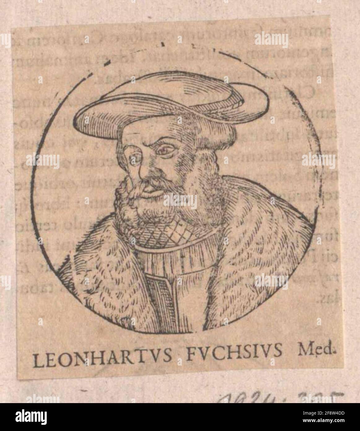 Historia stirpium fuchs hi-res stock photography and images - Alamy