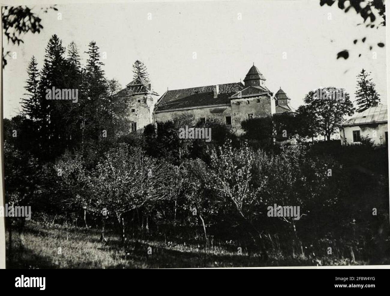 Zlota lipa hi-res stock photography and images - Alamy