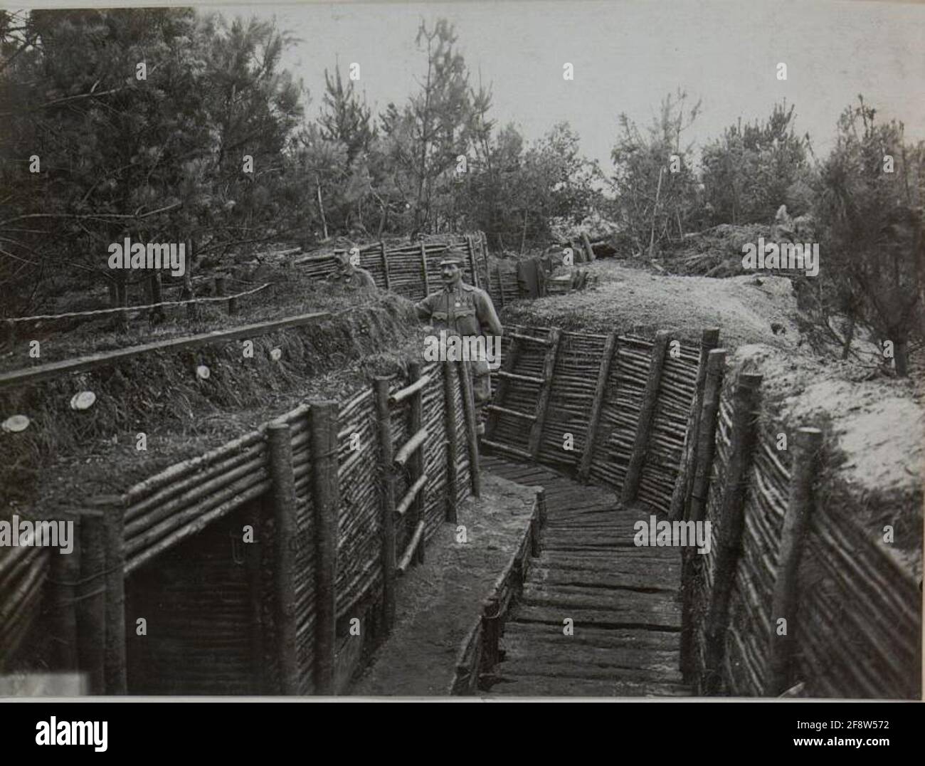 Trench in the forest of the Infantry Regiment 84 Stock Photo - Alamy