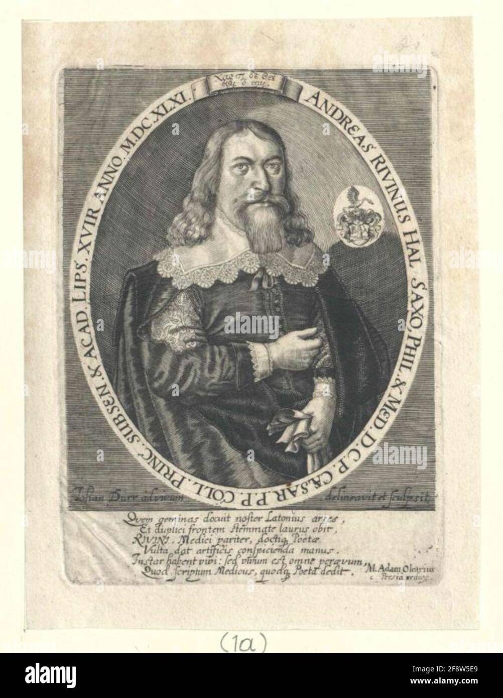 Rivinus hi-res stock photography and images - Alamy