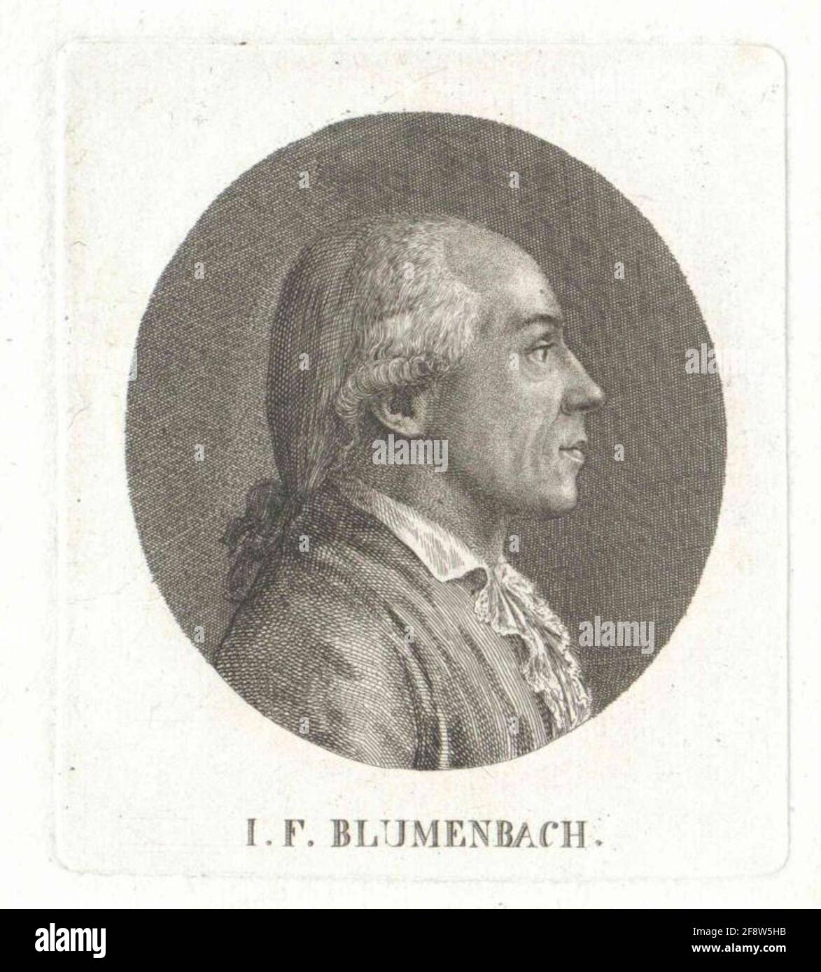 Blumenbach, johann friedrich hi-res stock photography and images - Alamy