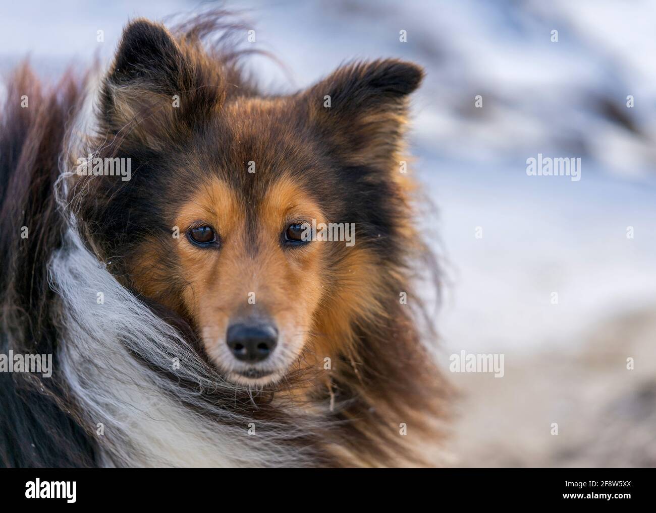 Offener strand hi-res stock photography and images - Alamy