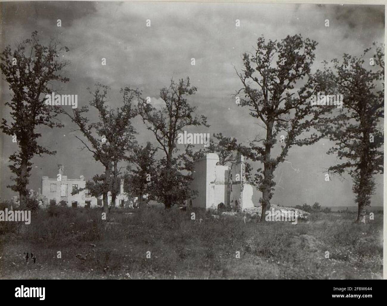 Destroyed castle at Samuszyn Stock Photo - Alamy