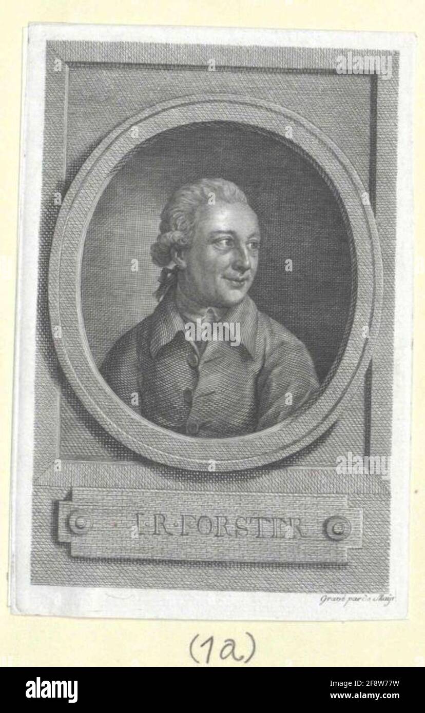 Johann reinhold forster hi-res stock photography and images - Alamy
