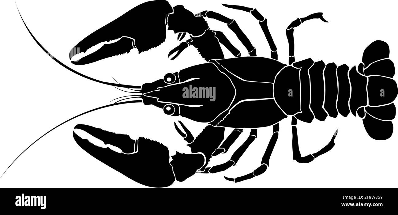 Crayfish Silhouette