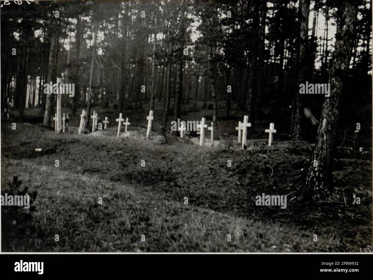 Spital cemetery hi-res stock photography and images - Alamy