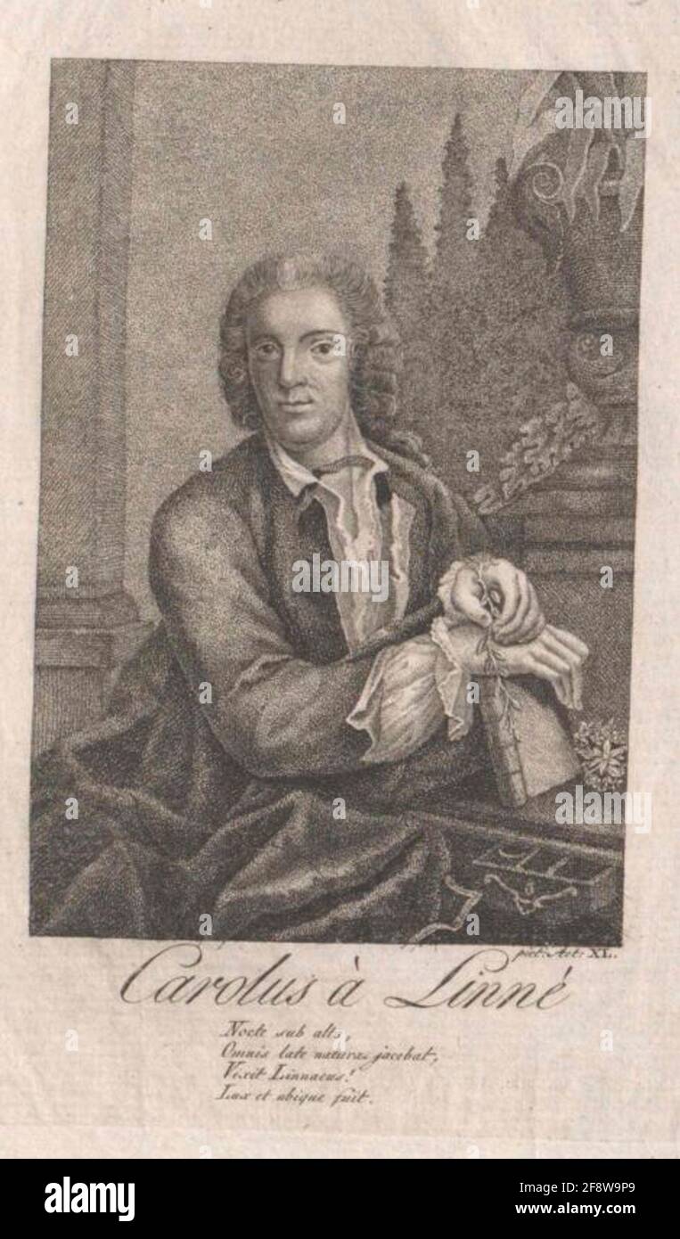 Linné, Charles of Stock Photo - Alamy
