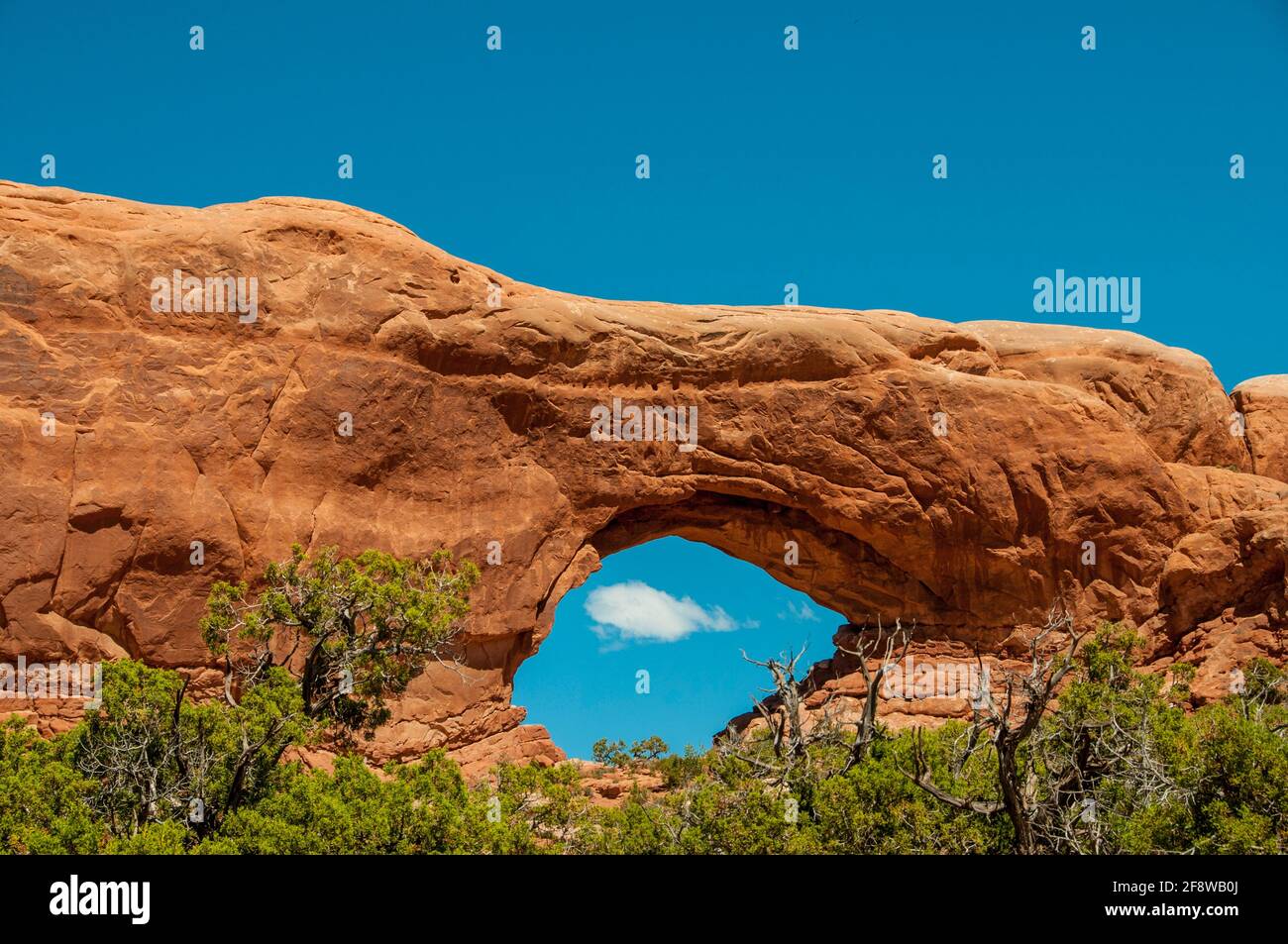Moab utah fossils hi-res stock photography and images - Alamy