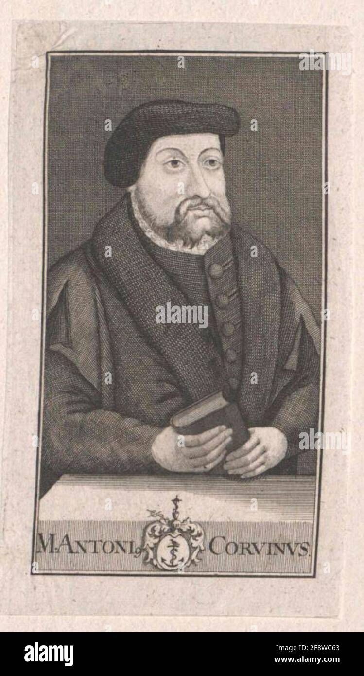 Corvinus hi-res stock photography and images - Alamy