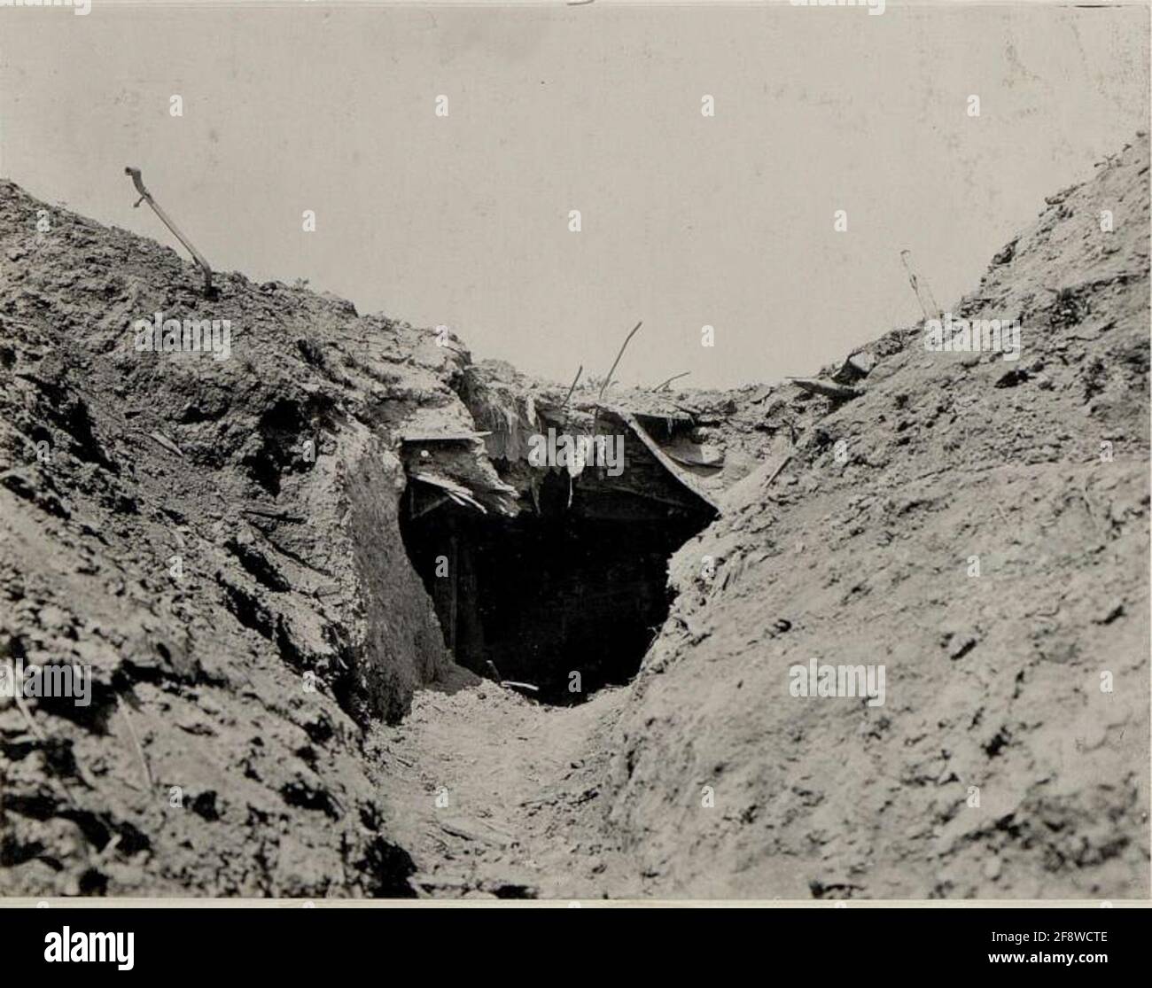 369 infantry hi-res stock photography and images - Alamy