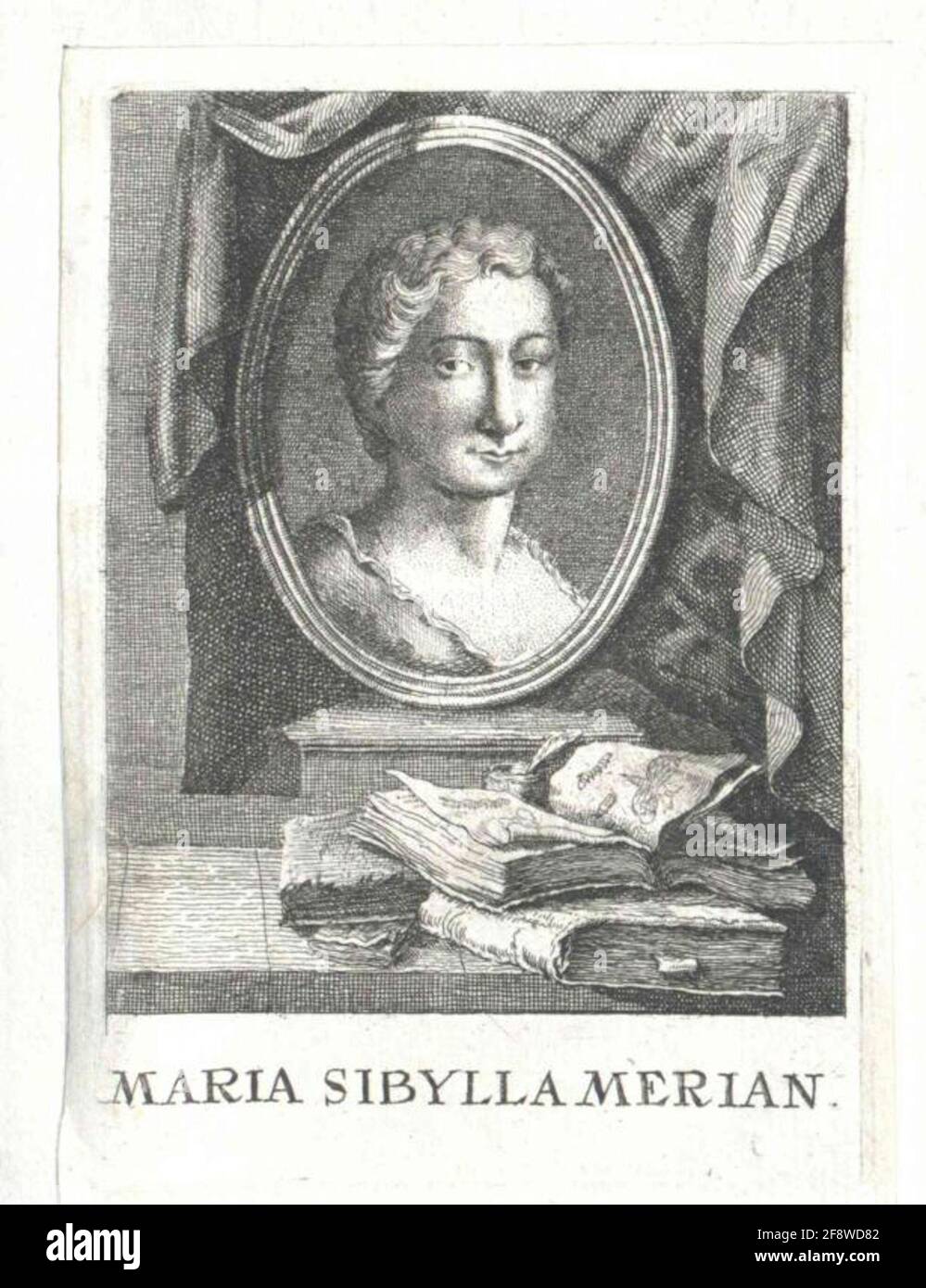 Maria sibylla merian maria hi-res stock photography and images - Alamy