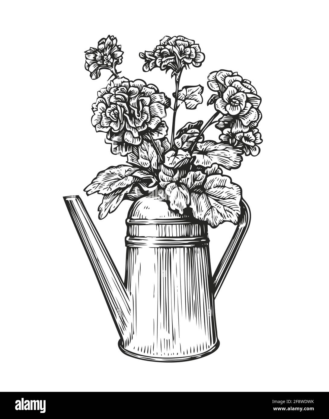 Old watering plants Stock Vector Images - Alamy