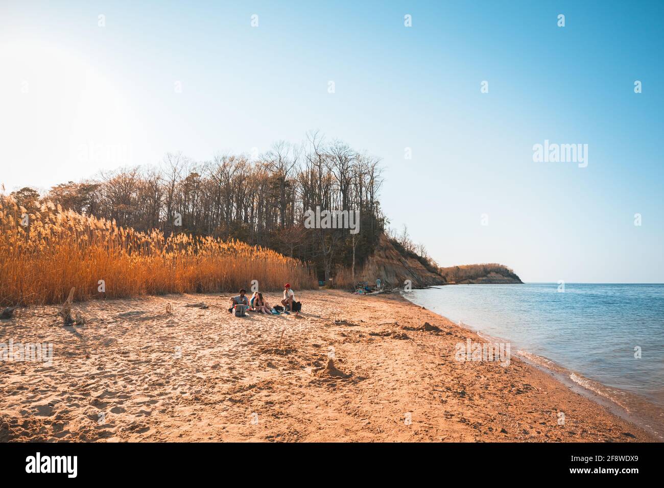A beach in Calvert Cliffs State Park, Maryland Stock Photo - Alamy