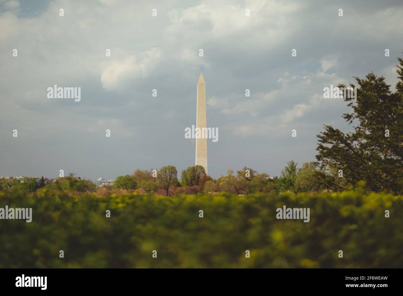 George washington cherry tree hi-res stock photography and images - Alamy
