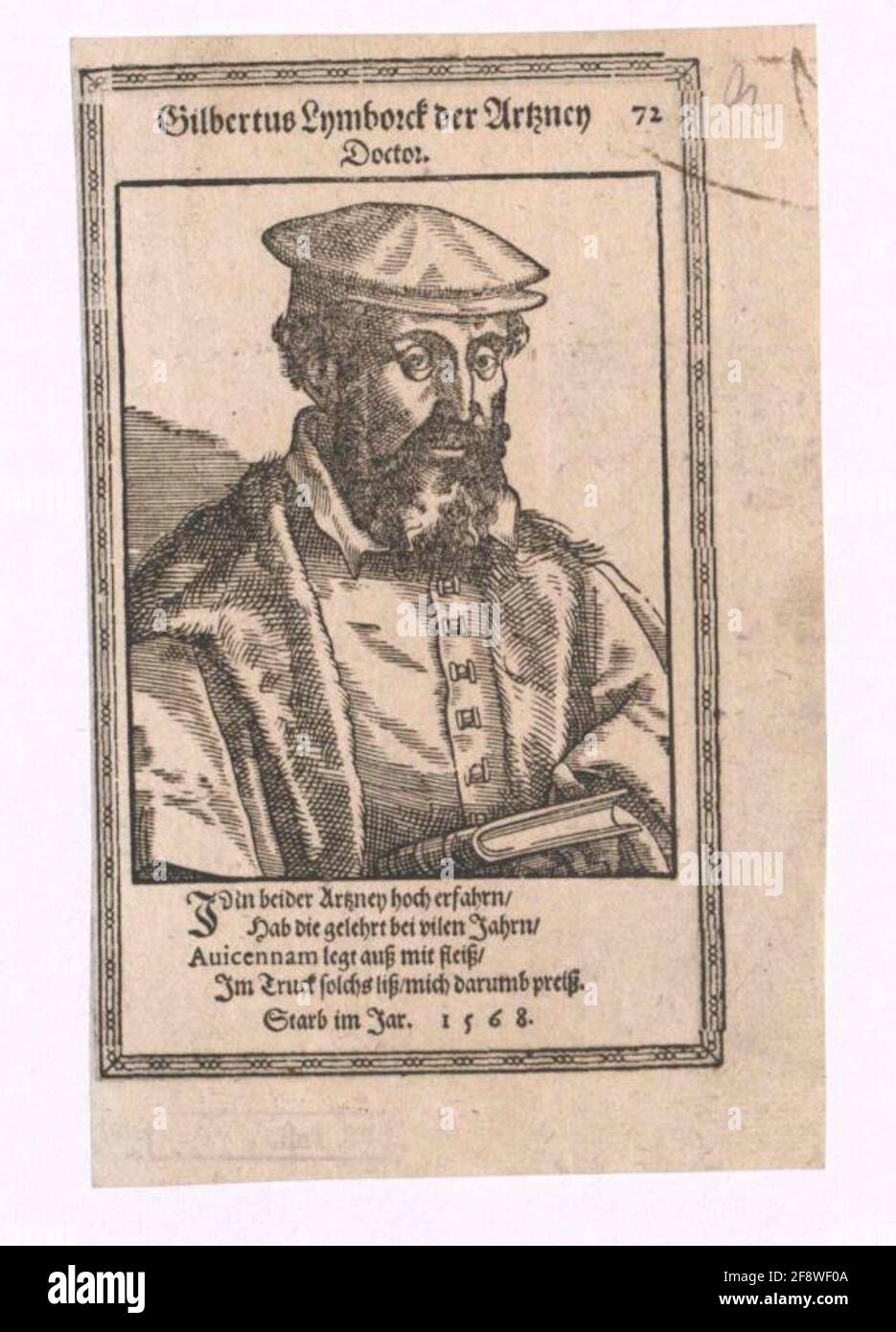 Fox form hi-res stock photography and images - Alamy