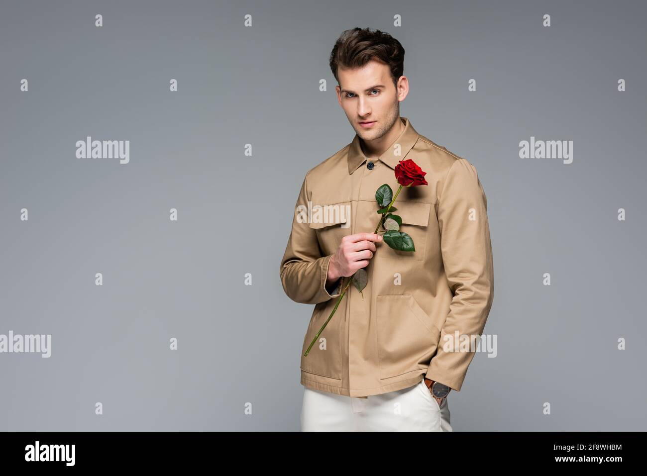 stylish man holding red rose while posing isolated on grey Stock Photo ...