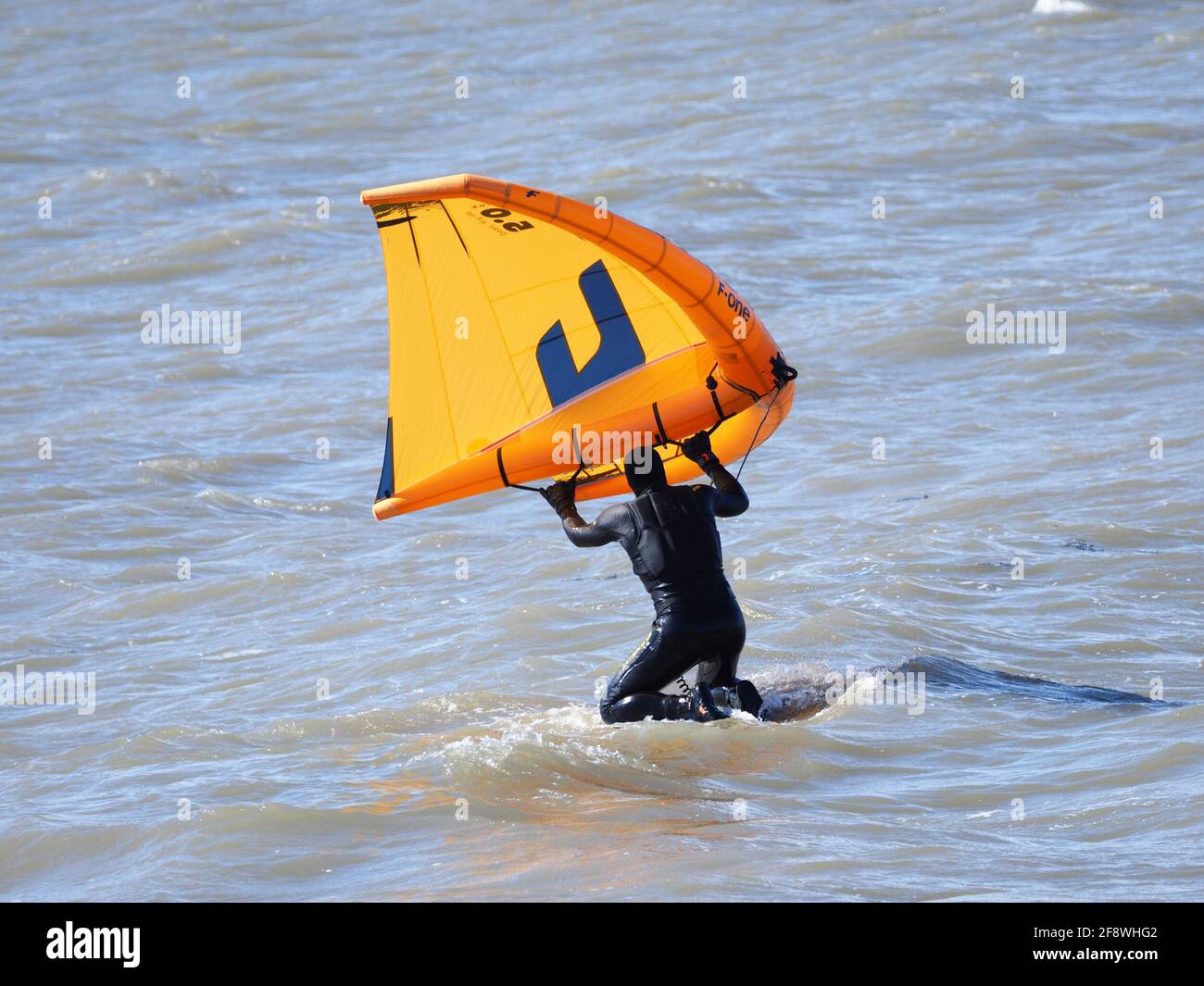 Board surfing with wings hi-res stock photography and images - Alamy