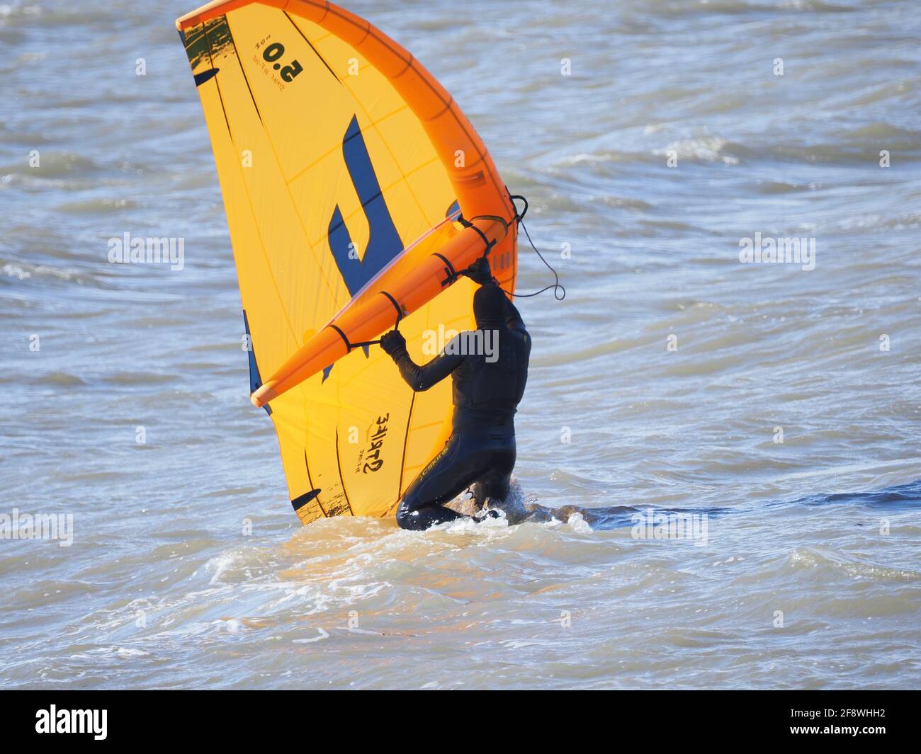 Board Surfing With Wings High Resolution Stock Photography and Images ...