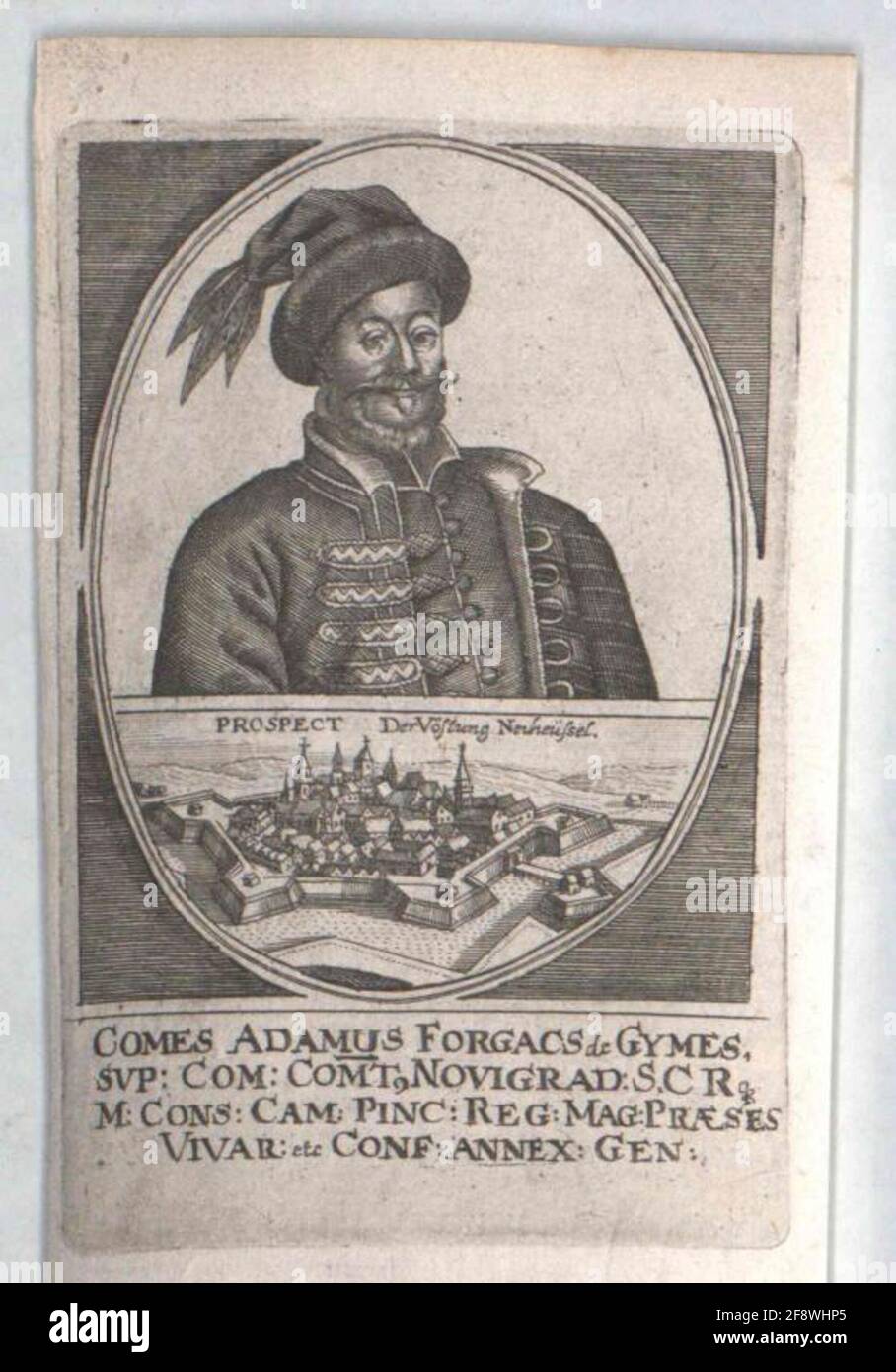 Forgách von Ghymes und Gács, Adam Graf Stock Photo - Alamy