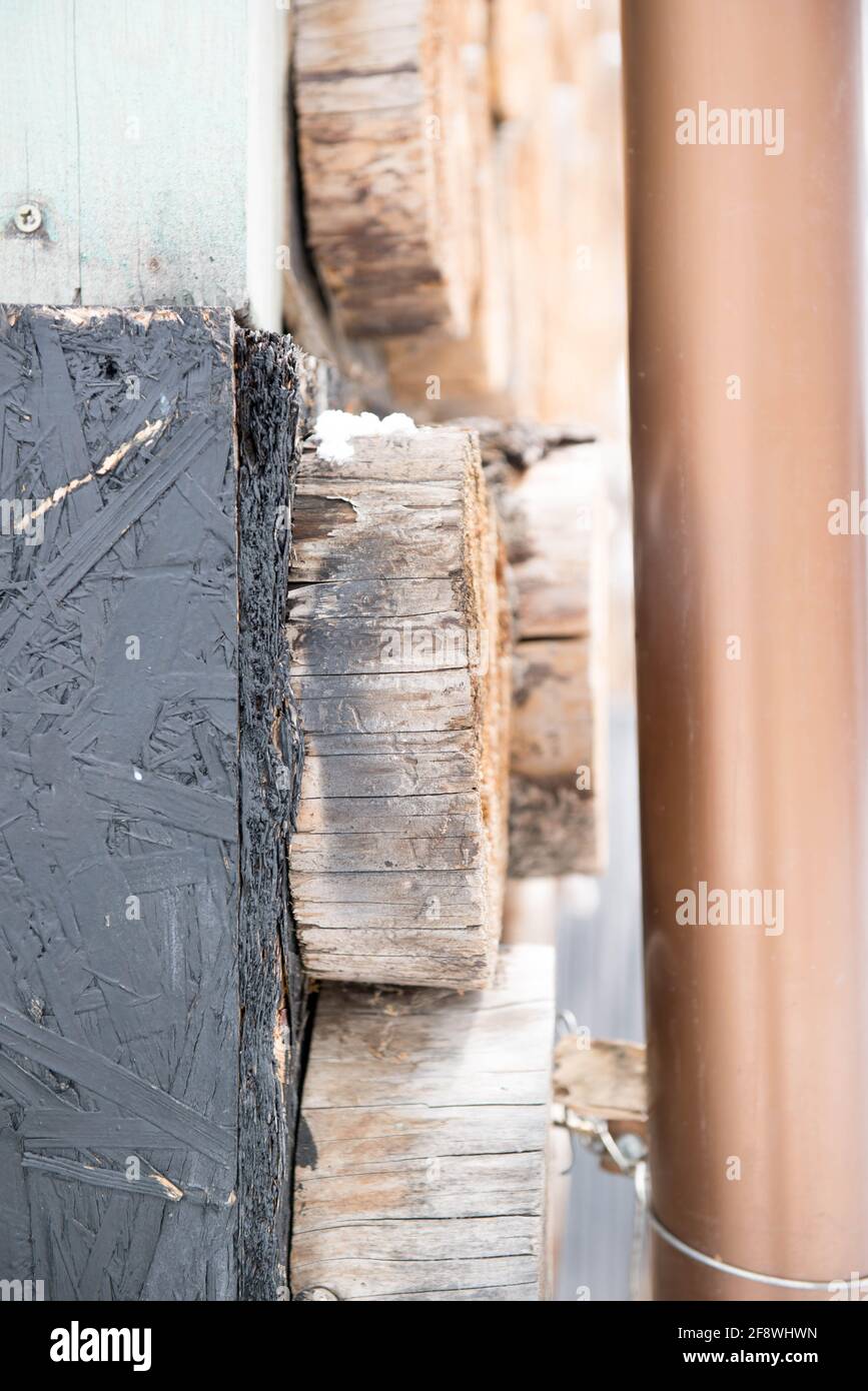 side view the logs are round like a wall made Stock Photo - Alamy