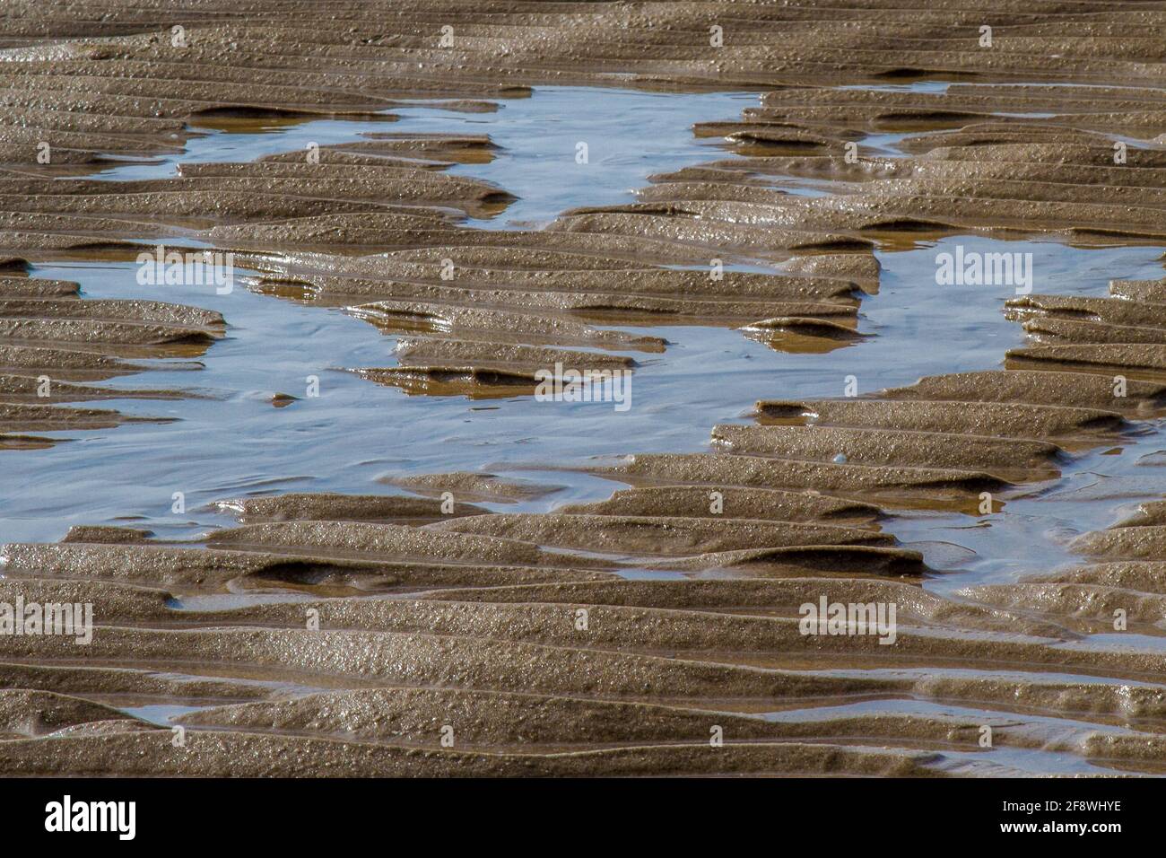 Wet sand texture at the beach Stock Photo - Alamy