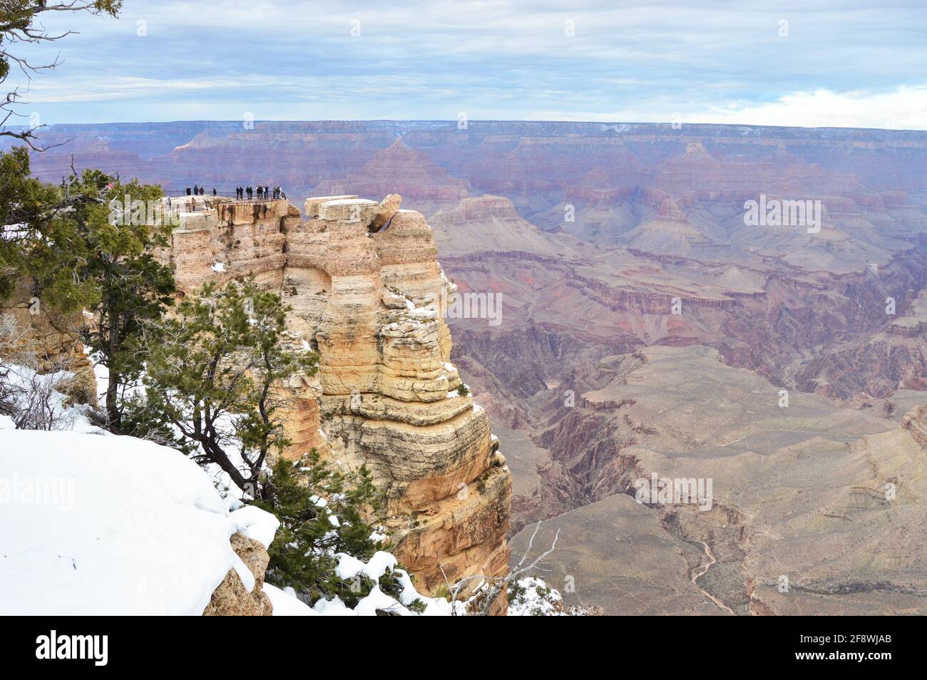 Visitors are dwarfed compared to the size of the Grand Canyon Stock ...